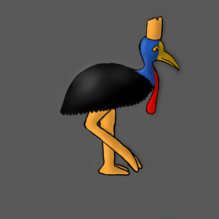How to draw an adult Cassowary – My Favorite Animals ABC