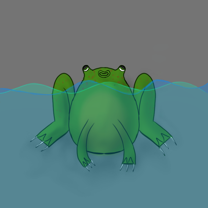 How to Draw a Xenopus – My Favorite Animals ABC